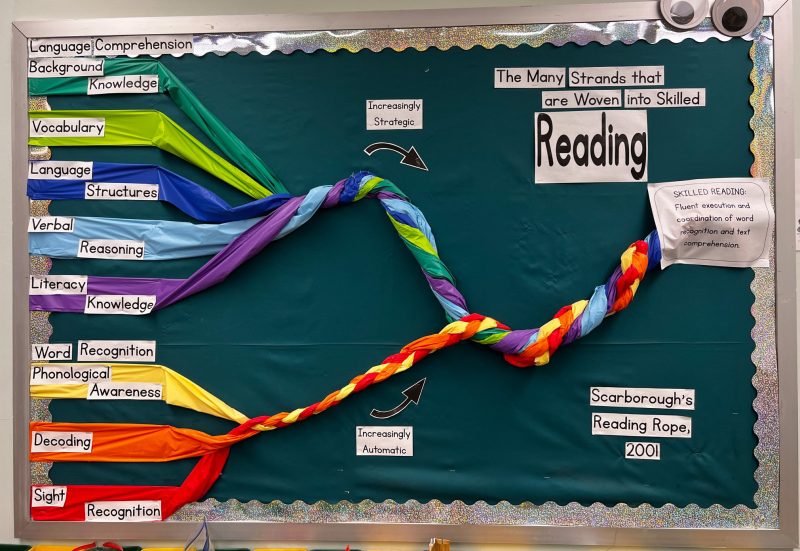 How the Science of Reading Shapes Instruction - Express Readers